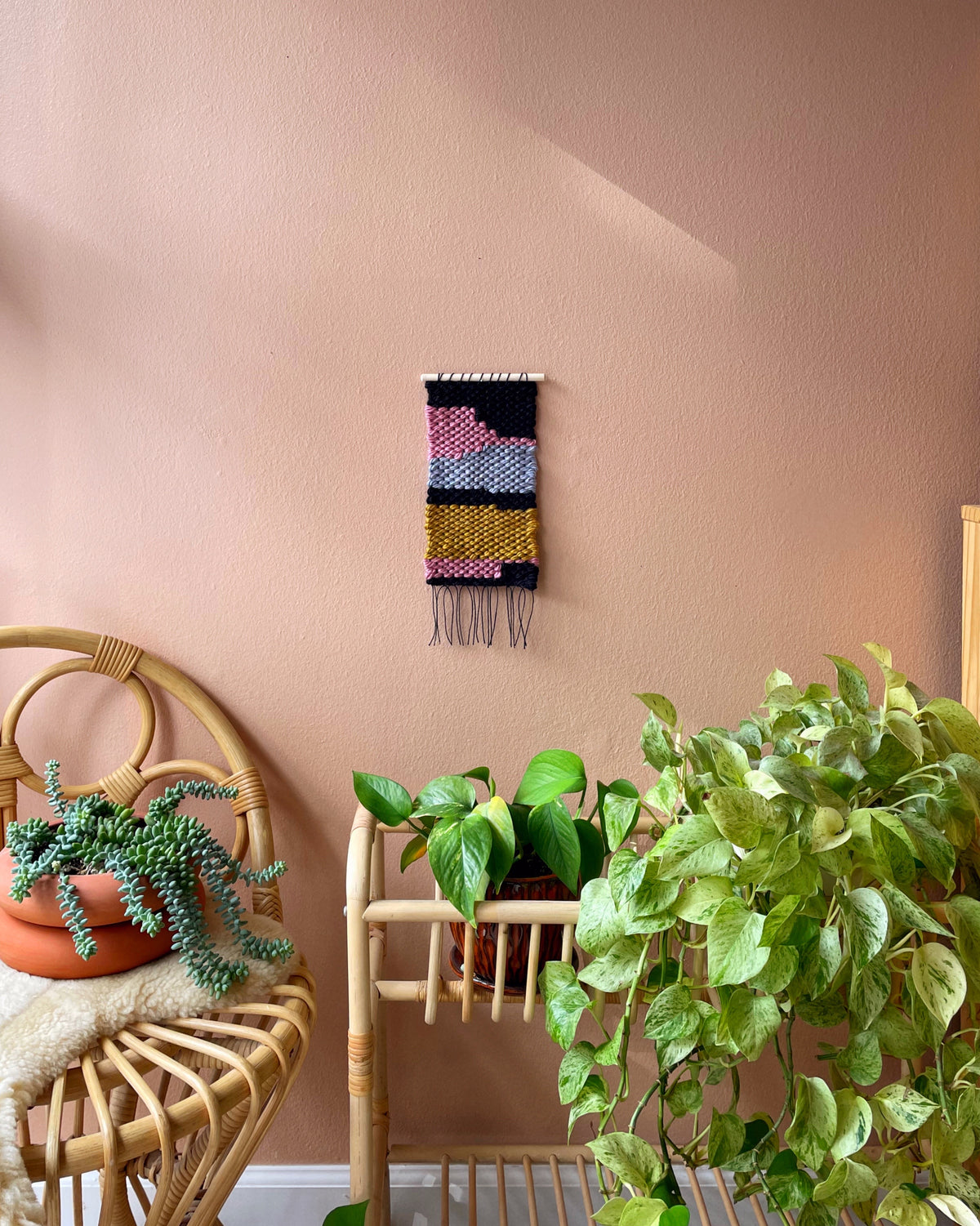 015. | The Little Avocado